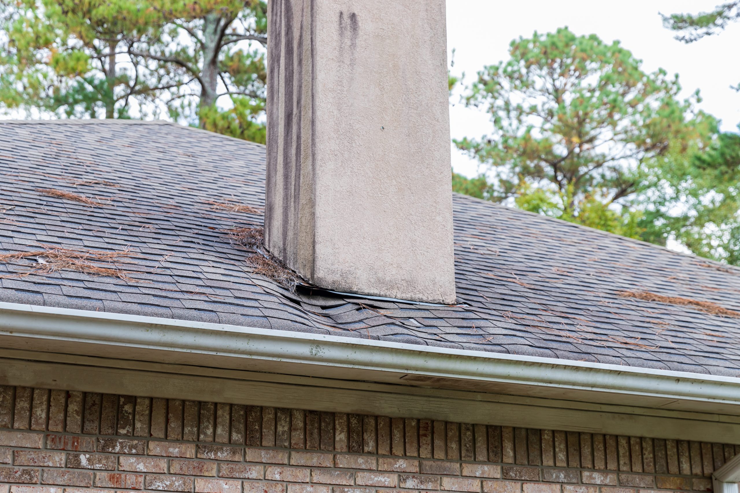 4 Signs Your Roof Needs Immediate Repair | The Roof Guys